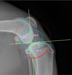 Knee Surgery – TPLO (Tibial Plateau Leveling Osteotomy) – Pet ...